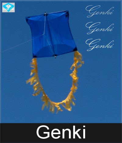 Genki kite eenlijnsvlieger